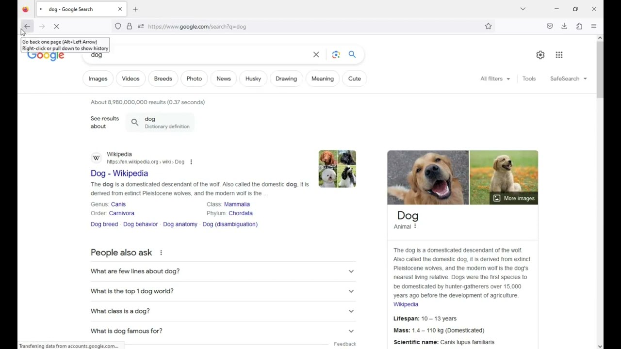 CS50: Web Programming with javascript and python Project 0:search demonstration video