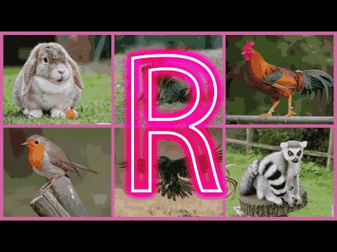 Riveting Wildlife Remarkable Animals and Birds Starting with R!