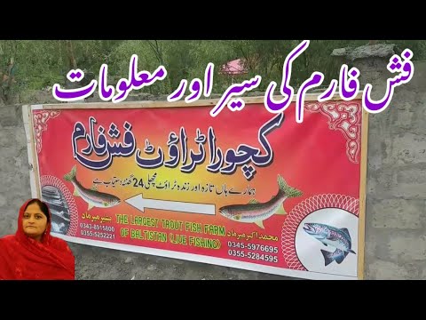 #troutfishfarmفش فارم کی سیر اور معلومات || information about trout fish|| Nef Family