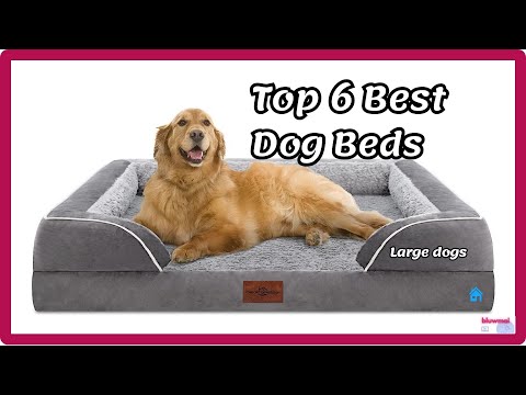 🐶🛏️TOP 6 Best Dog Beds for Large dogs /orthopedic / washable / waterproof ✅[Amazon 2024 Good]