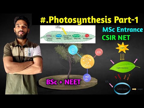Photosynthesis Part-1 || Basic Introduction || BSc || MSc || CSIR NET Life Sciences || MSc Entrance