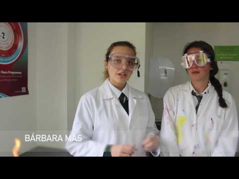 Conceptual Understanding for the 21st Century