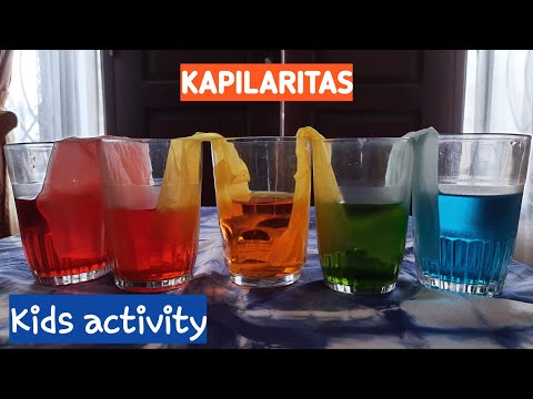 Percobaan kapilaritas air pada tissue