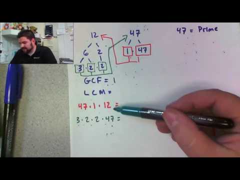 How to Find the LCM of a set of numbers