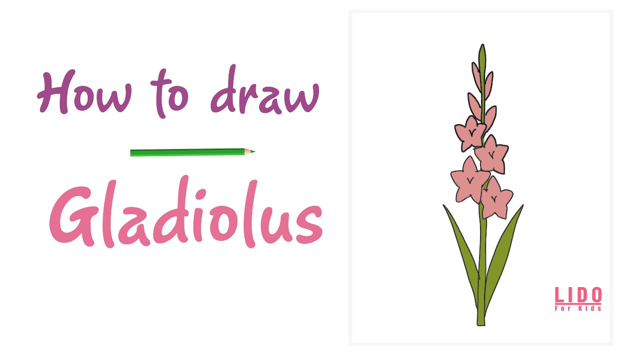 How to Draw Gladiolus Flowers 🌸   Easy Drawing for Kids and Beginners Step by Step T#lidoartworks