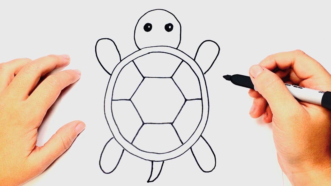 Como dibujar una Tortuga Muy Facil