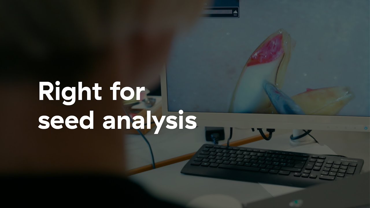 Why you need a digital microscope when doing seed analysis