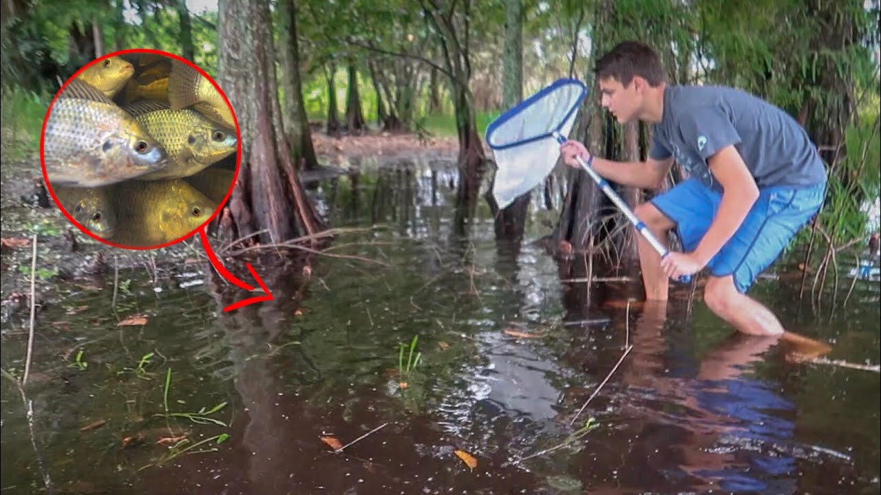 SAVING FISH in RAIN STORM PUDDLE!!!