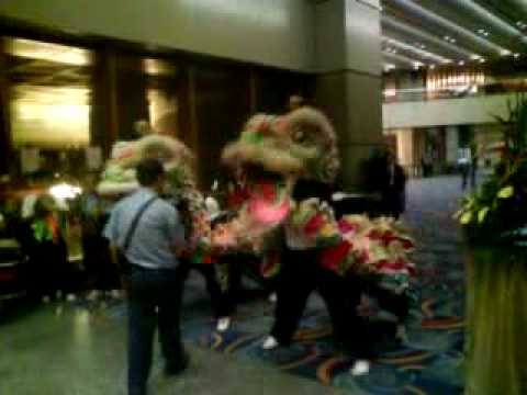 traditional zhoujia lion dance