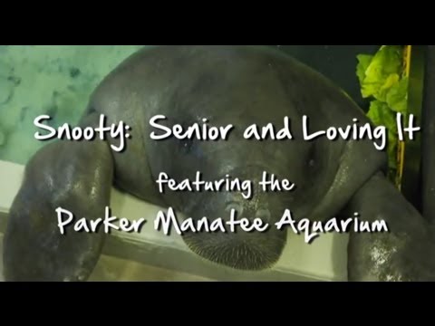 What You Can Do Presents Snooty: Senior and Loving It