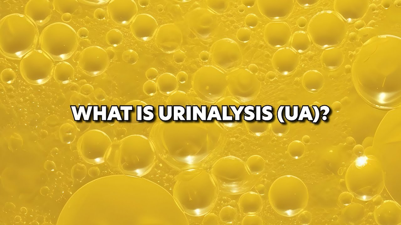 Urinalysis (UA) with Microscopy Explained for Medical, PA, and NP Students