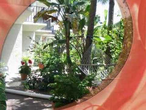 Flamingo Inn, Daytona Beach - 1-888-682-0919