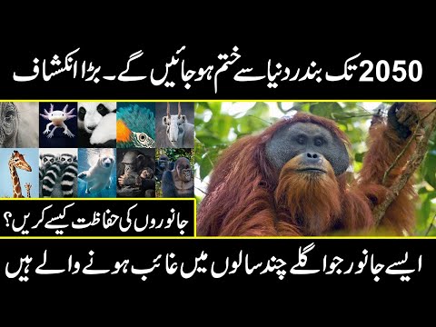 endangers animal species around the world in urdu hindi | URDU COVER