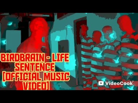 BIRDBRAIN- LIFE SENTENCE [OFFICIAL MUSIC VIDEO]