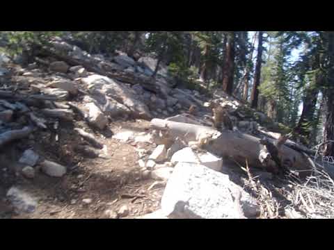 Old Footage- 8/4/18- Sequoia National Forest- Hike to Sherman Peak (9,909') Pt 6/7