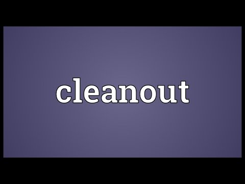Cleanout Meaning
