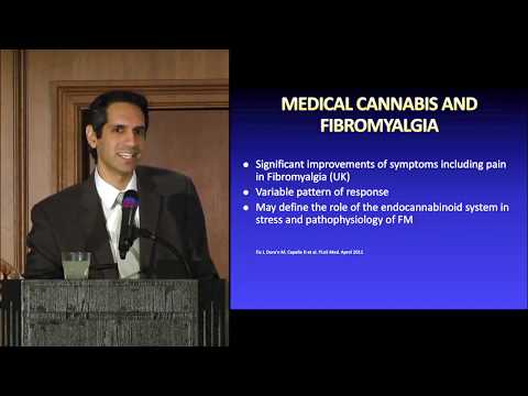 Medical Cannabis for Chronic Pain - Chronic Pain and Dependence Part 6 of 7 - Dr. Jay Joshi