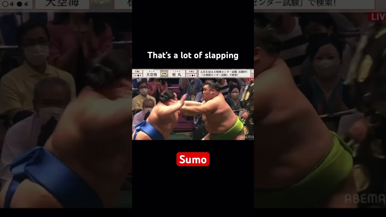 Epic Slap Fight #shorts