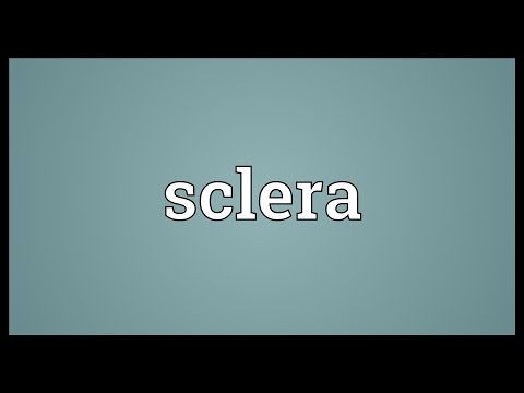 Sclera Meaning