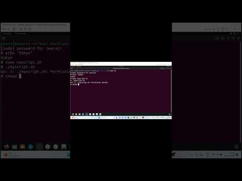 shell script file permission #shorts
