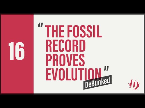 Uncovering the TRUTH About Evolution: What the Fossil Record Reveals!