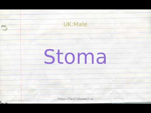 How to pronounce stoma