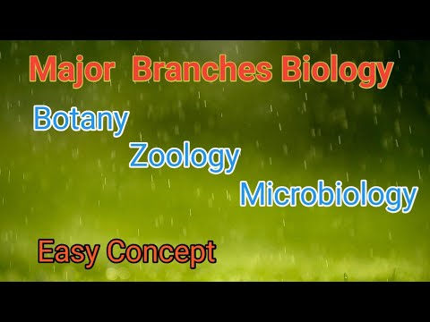 Major Branches of Biology