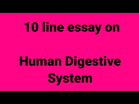 10 line essay on human digestive/essay on human digestive system/function of human digestive system