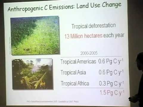 Carbon Emissions: Past, Present & Future