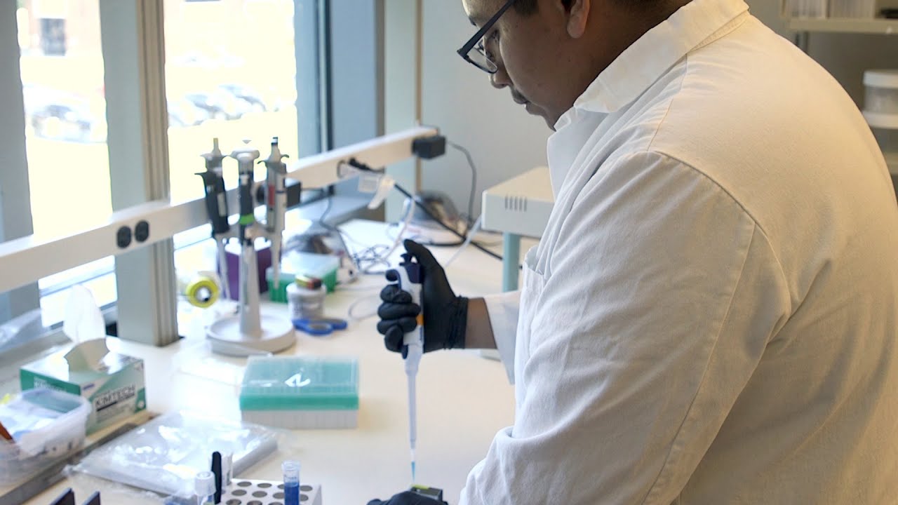 Summer Undergraduate Research Fellowship (SURF)