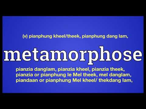 metamorphose meaning in English Ngawn