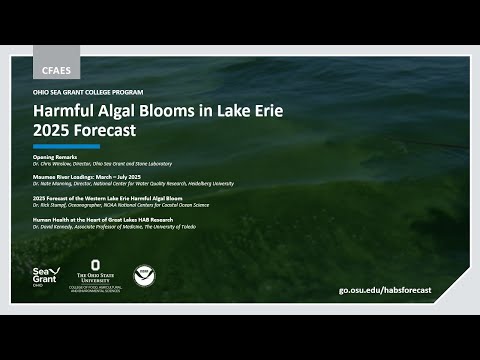 Forecast for Harmful Algal Blooms in Lake Erie 2025