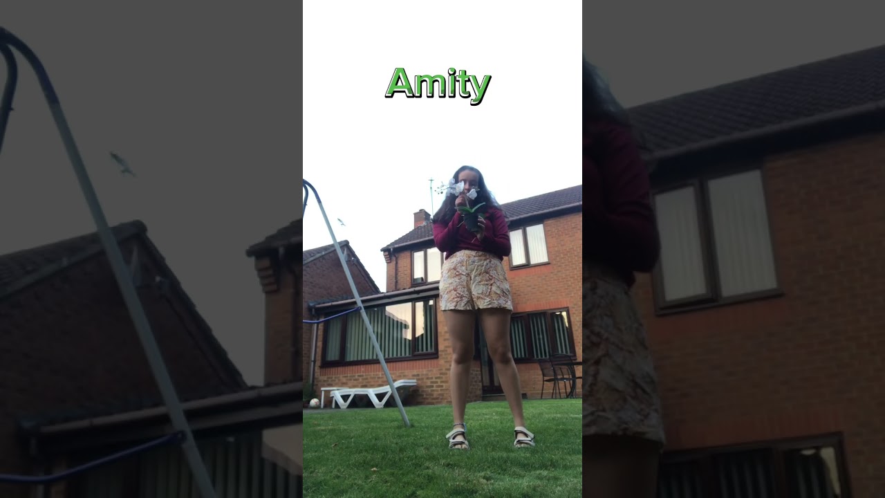 I tried my best # divergent # factions # short