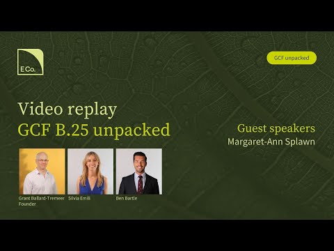 E Co. institute: GCF B.25 unpacked & 14th GCF insight | Project financing