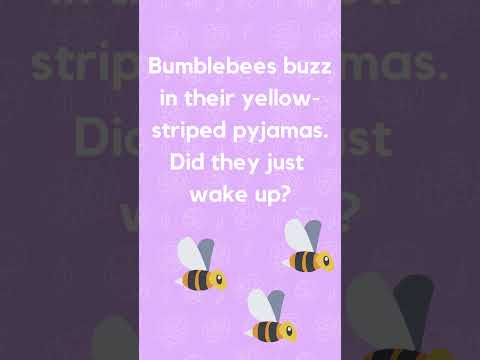 Five Spring Haikus