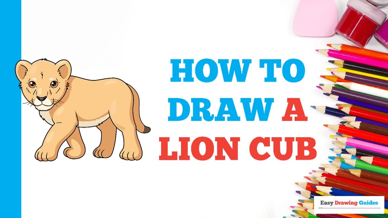 How to Draw a Lion Cub: Easy Step by Step Drawing Tutorial for Beginners