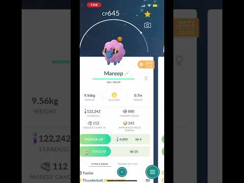 Almost done all my shinys