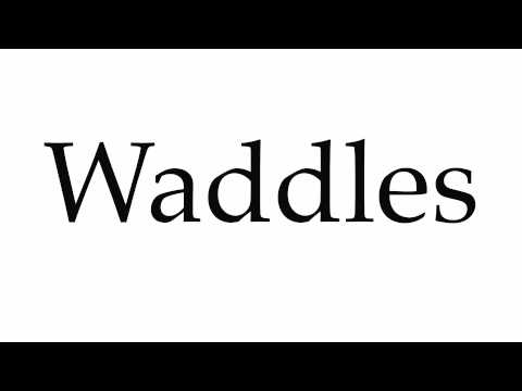 How to Pronounce Waddles