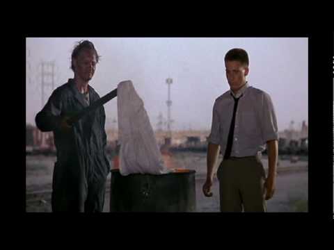 Synchronicity In Movies