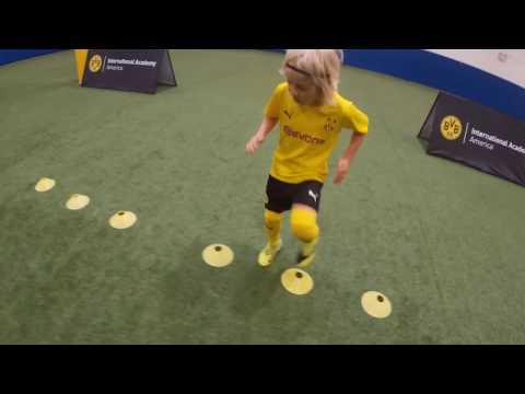 My Dream...BVB International Academy Chicago North