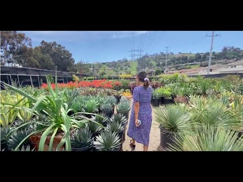 C&S Nursery