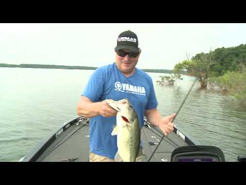 Catching Bass With Dustin Wilks