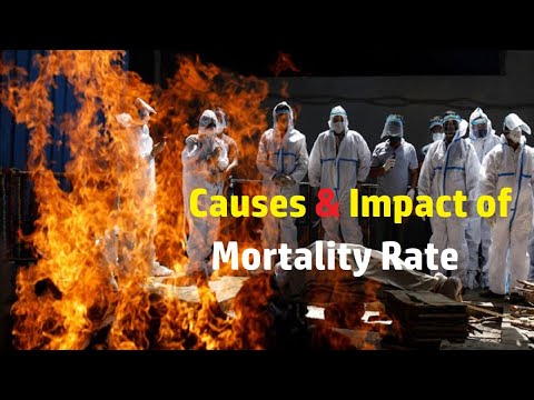 Causes and Impact of Mortality Rate