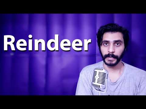 How To Pronounce Reindeer