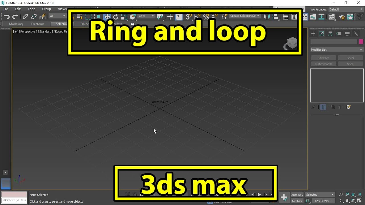 Ring and Loop | 3ds max hindi tutorial | study edutech