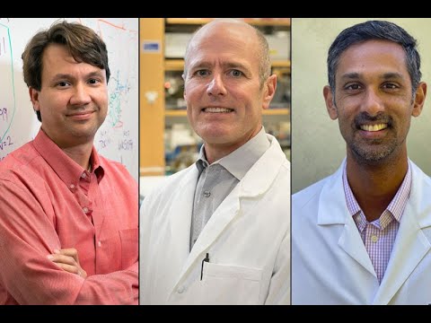 The Power of Regenerative Medicine: Future Treatments for Brain Disease