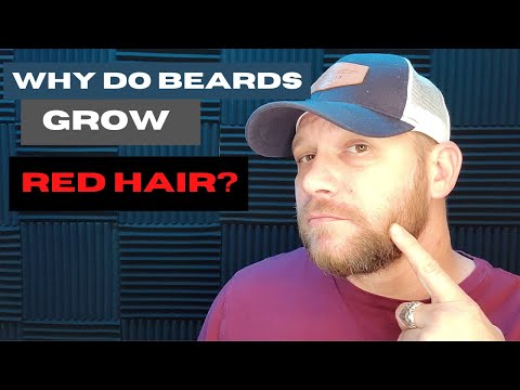 Why is your Beard growing RED hair?