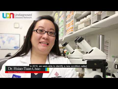 Team Science drives the success of the Undiagnosed Diseases Network