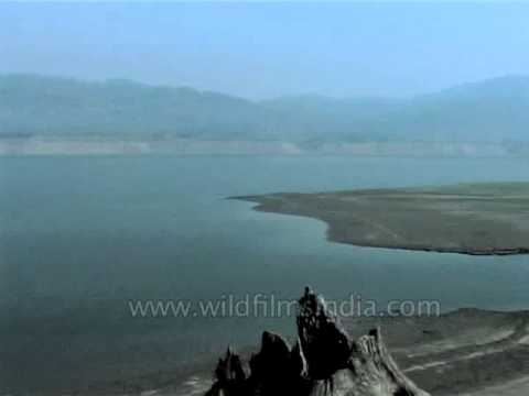Barren landscape