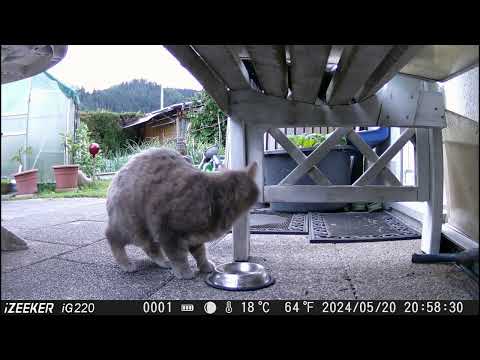 Wer das Futter des Dicken futtert